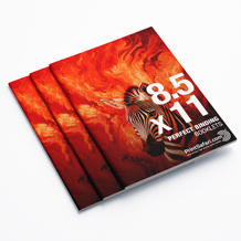 Bulk Magazine Printing, Wholesale Booklets with Perfect Binding ...