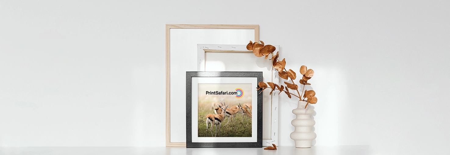 Photo Prints | Printsafari.com