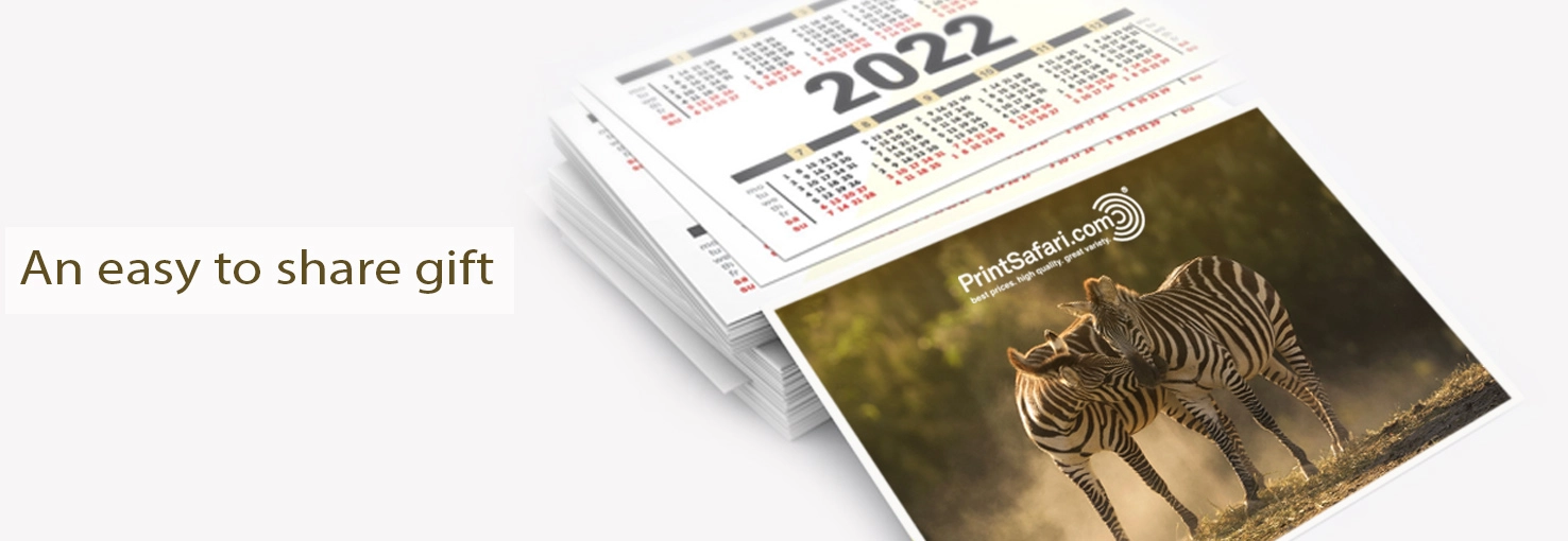 Custom Pocket Calendars | PrintSafari.com