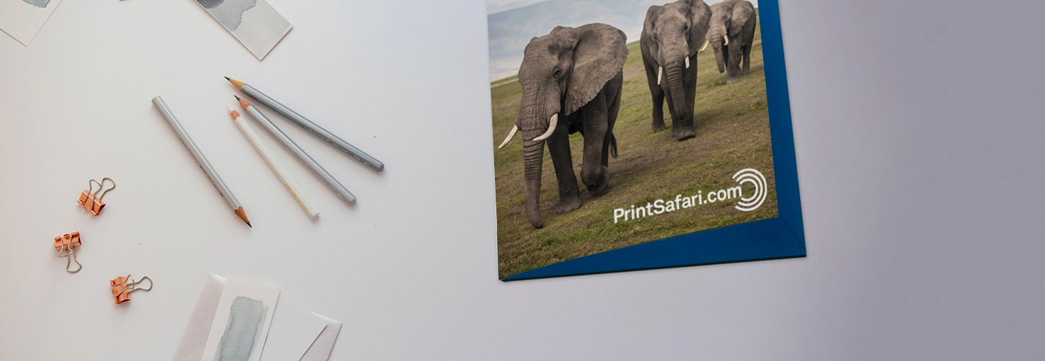 Custom Folder & Presentation Folder Printing