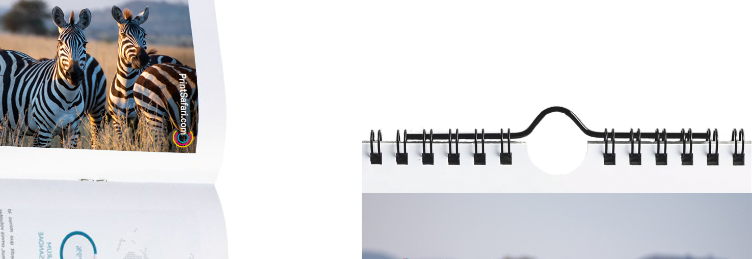 Common Calendar Sizes
