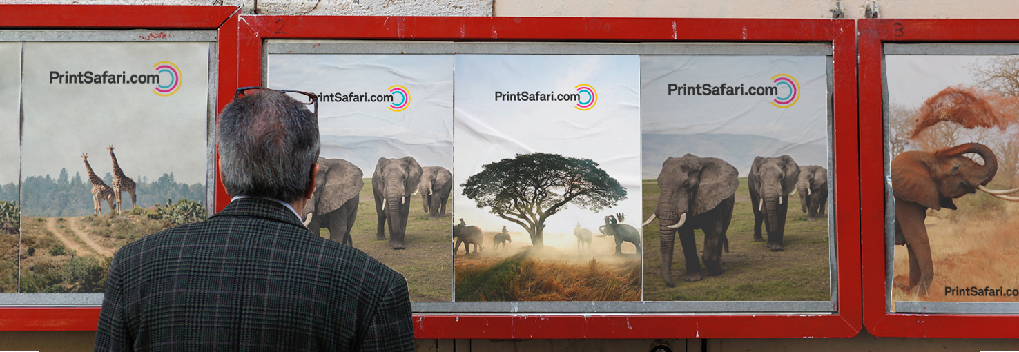 Common Poster Sizes / Standard Poster Size